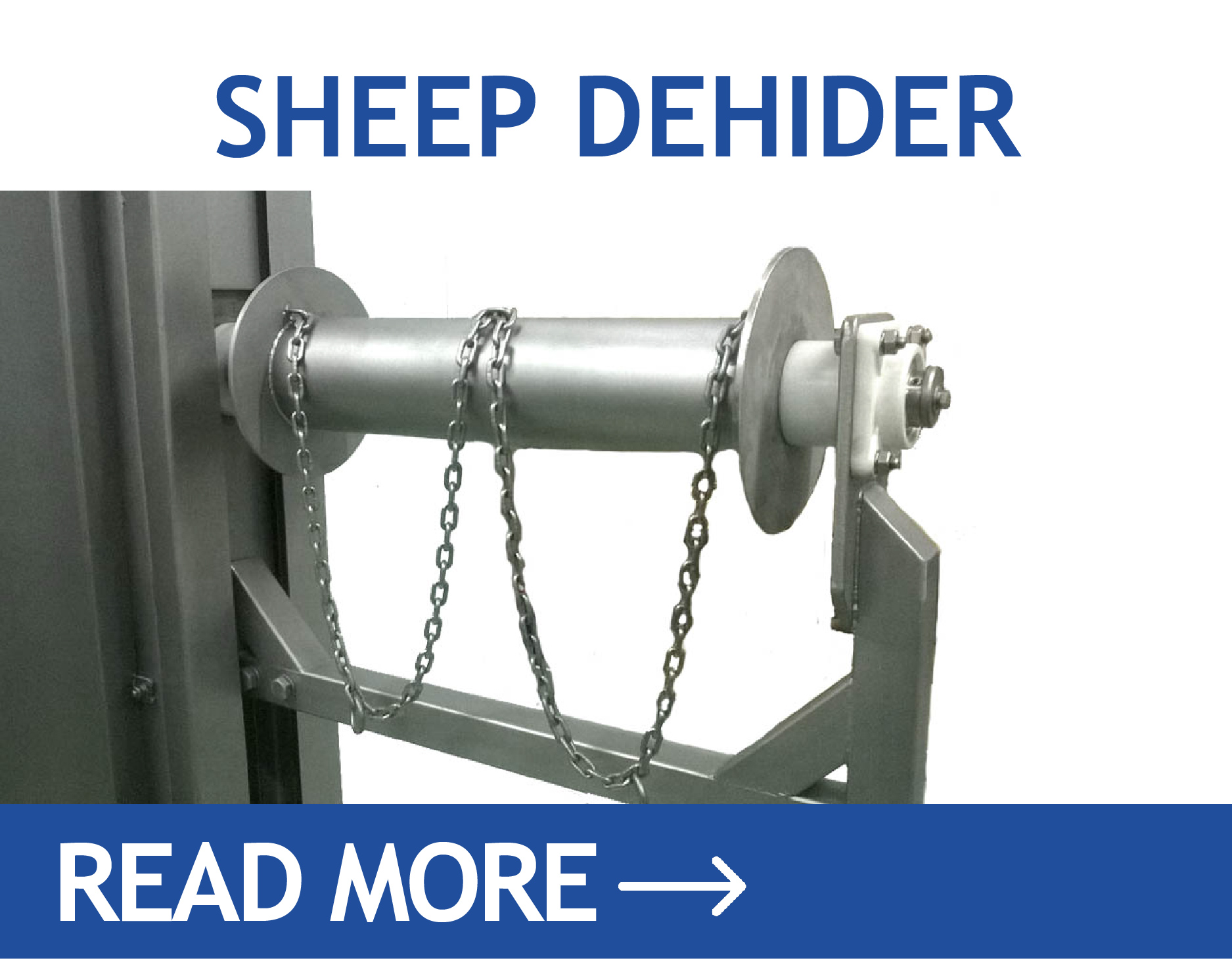 Sheep Dressing - MECANOVA